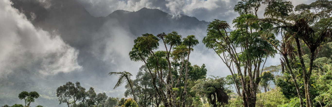 Comoros Economy: GDP, Inflation, CPI & Interest Rates - FocusEconomics