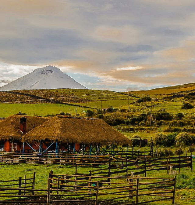 Ecuador Inflation December 2025 - FocusEconomics