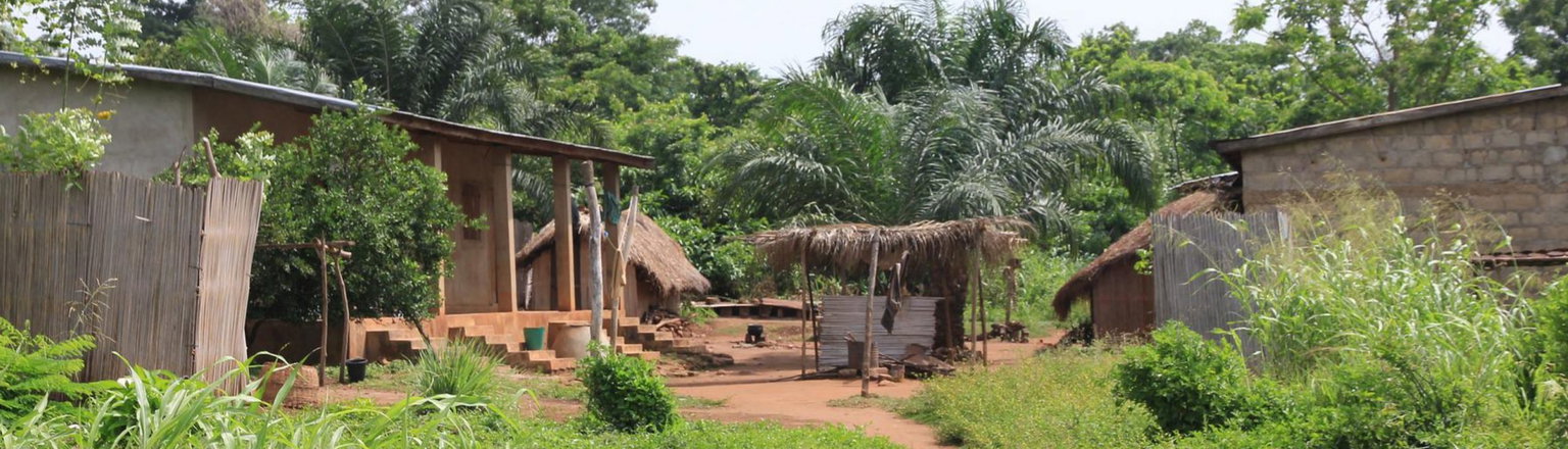 Togo Economy: GDP, Inflation, CPI & Interest Rates - FocusEconomics