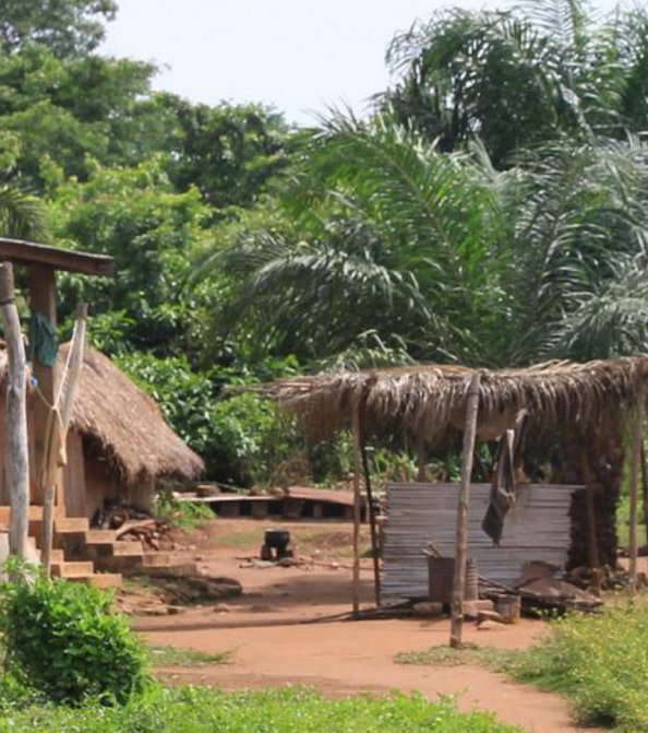 Togo Economy: GDP, Inflation, CPI & Interest Rates - FocusEconomics