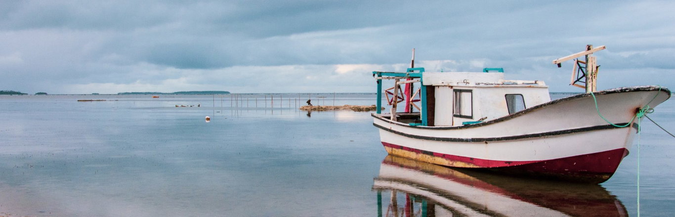 Tonga Economy: GDP, Inflation, CPI & Interest Rates - FocusEconomics