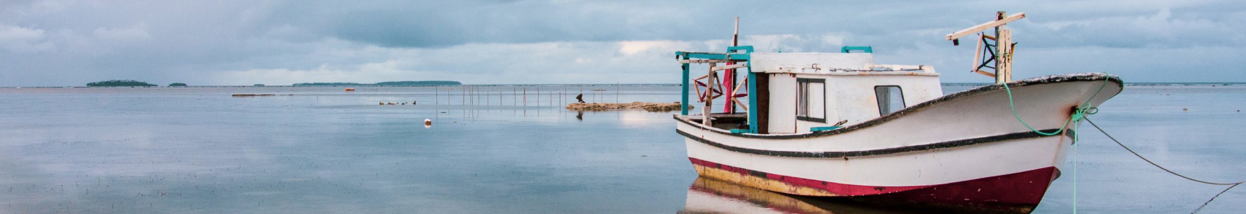 Tonga Economy: GDP, Inflation, CPI & Interest Rates - FocusEconomics
