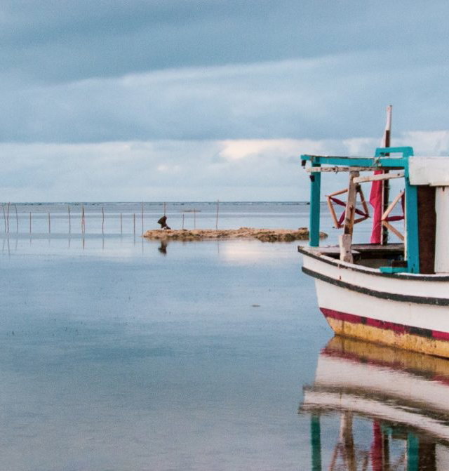 Tonga Economy: GDP, Inflation, CPI & Interest Rates - FocusEconomics