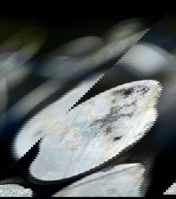 Zinc Price: Charts, Forecasts & News - FocusEconomics