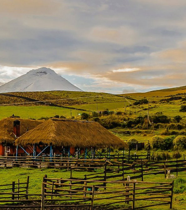 Ecuador Inflación Junio 2025 - FocusEconomics [ES]