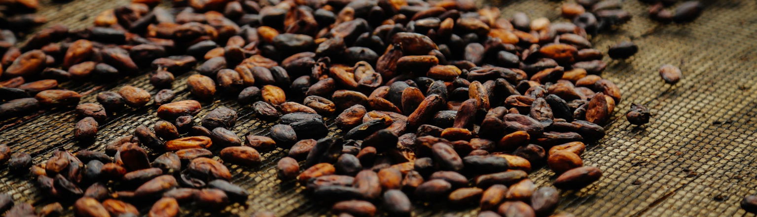 Cocoa Price: Charts, Forecasts & News - FocusEconomics